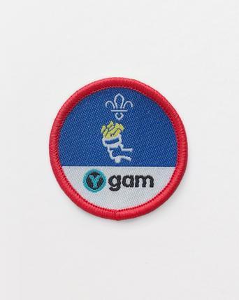 scout lifesaver badge