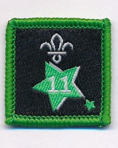 Cub Scout Chief Scout's Silver Award Badge Volunteer Leaders