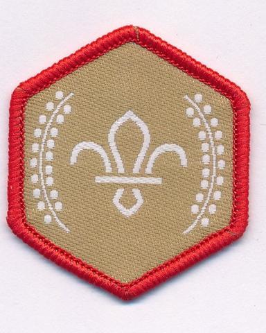 Scouts World Challenge Award Badge