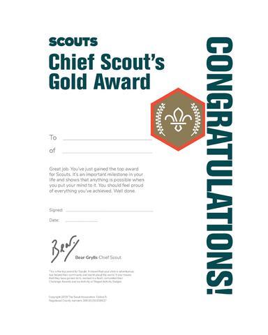 Beavers Investiture Certificates (Pack of 10) Scouts Sections