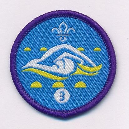 Activity Scout Swimmer Stage 3 Badge Volunteer Leaders