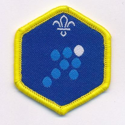 Cub Scout Team Leader Challenge Award Badge