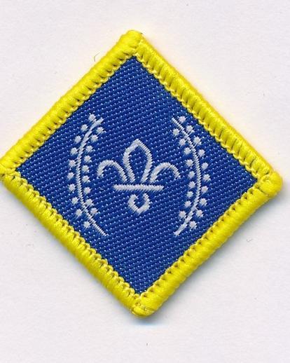 Explorer Scout Belt Award Badge Volunteer Leaders