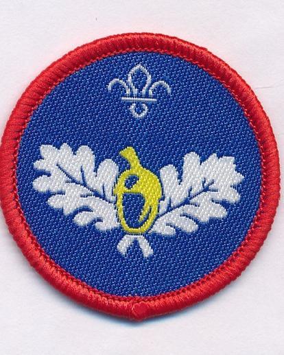 Cub Scout Our World Challenge Award Badge Volunteer Leaders