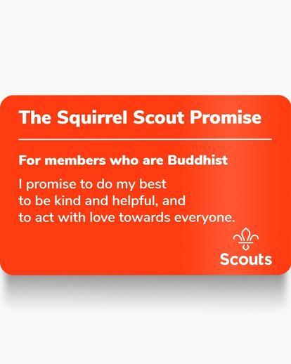 Scouting Purple Emergency Card Volunteer Leaders