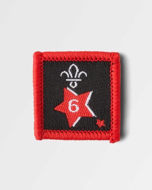 Joining in Award Badge 4 | Scouts