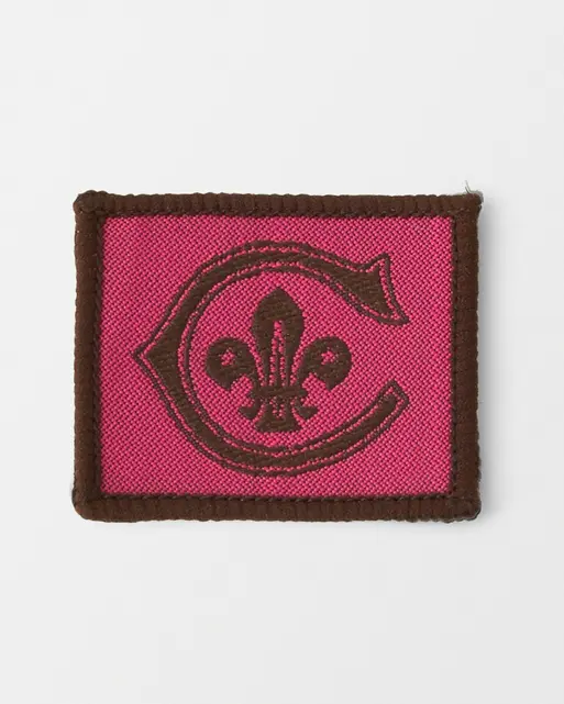 Joining in Award Badge 4 | Scouts