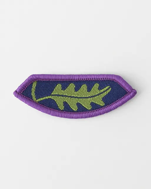 Scouts Awards & Recognition | Volunteers | Scout Store