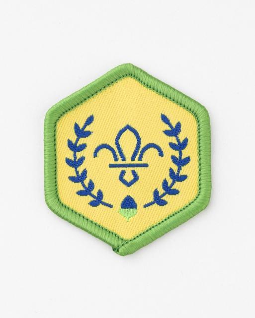 Scouts Award Badges | Scout Store