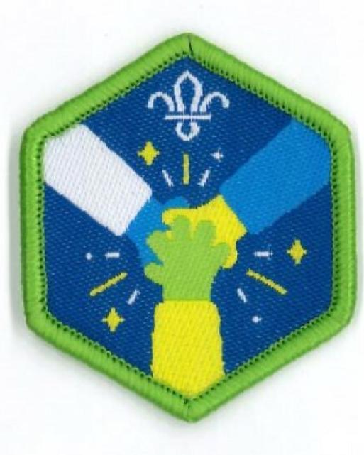 Cubs Record Cards (Pack of 10) Scouts Sections