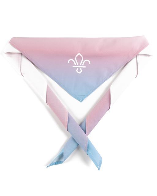Gilwell Scout Cotton Training Scarf Exclusions