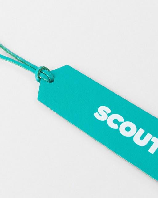 Scouts Badges and Awards Book Volunteer Leaders