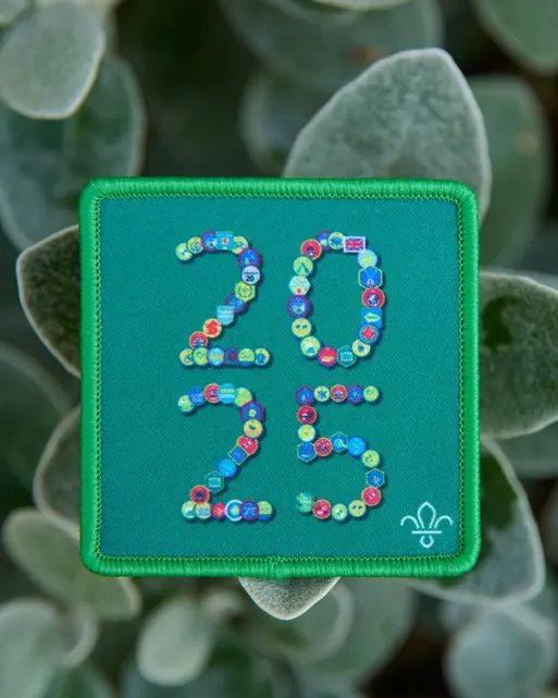 Scouts Space Activity Badge (UK Space Agency)