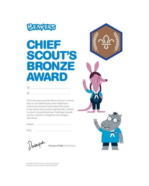 Beavers Disability Awareness Activity Badge (Sunflower) | Beaver Scouts ...
