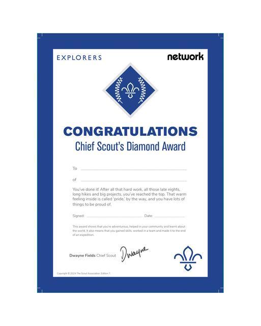 Chief Scout's Platinum Award Certificate - Pack of 10