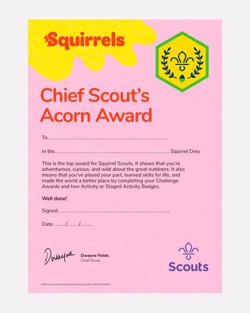 Scouts Awards & Recognition | Volunteers | Scout Store