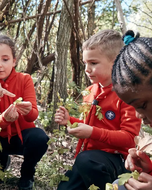 Squirrel Scouts | Squirrels Uniform, Clothing & Accessories | Scout Store