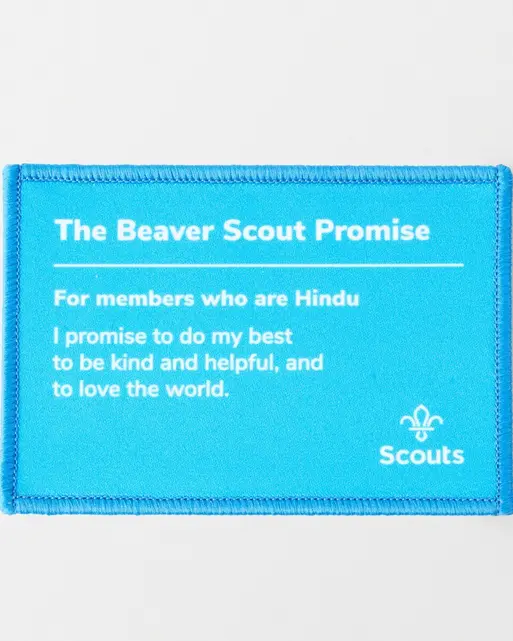 Chief Scout's Bronze Award Certificate - Pk of 10 | Beaver Scouts