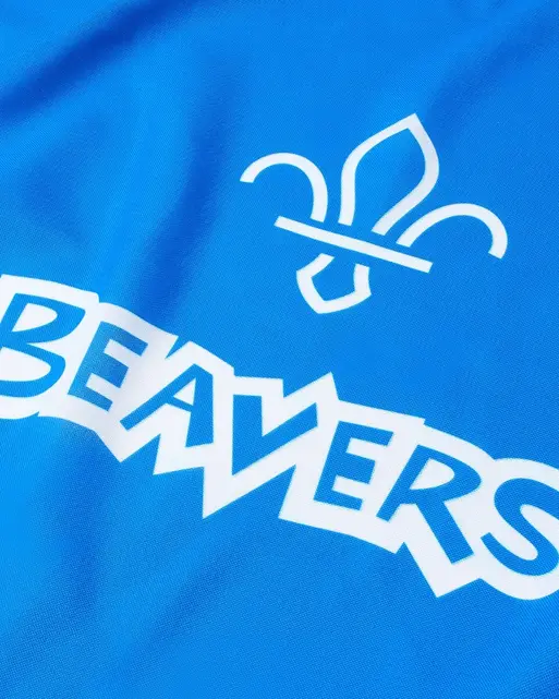 Joining Beavers?