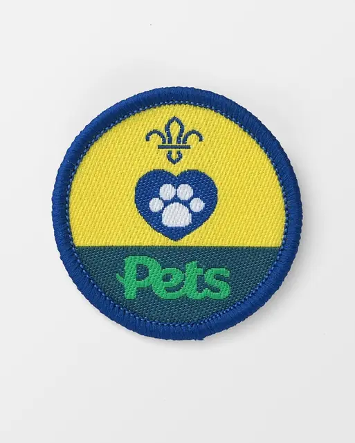 Beaver Scout Space Activity Badge (UK Space Agency)