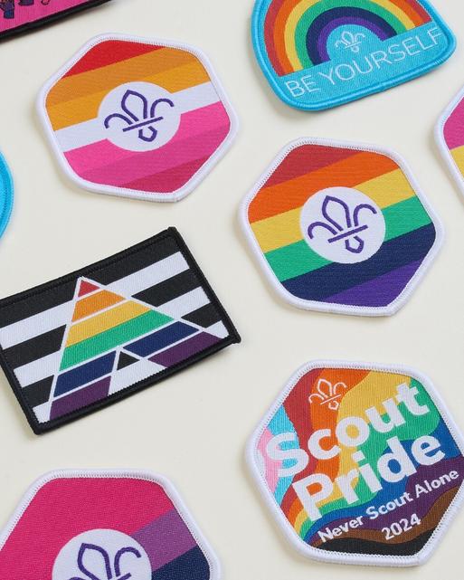Scout Pride Pansexual Flag