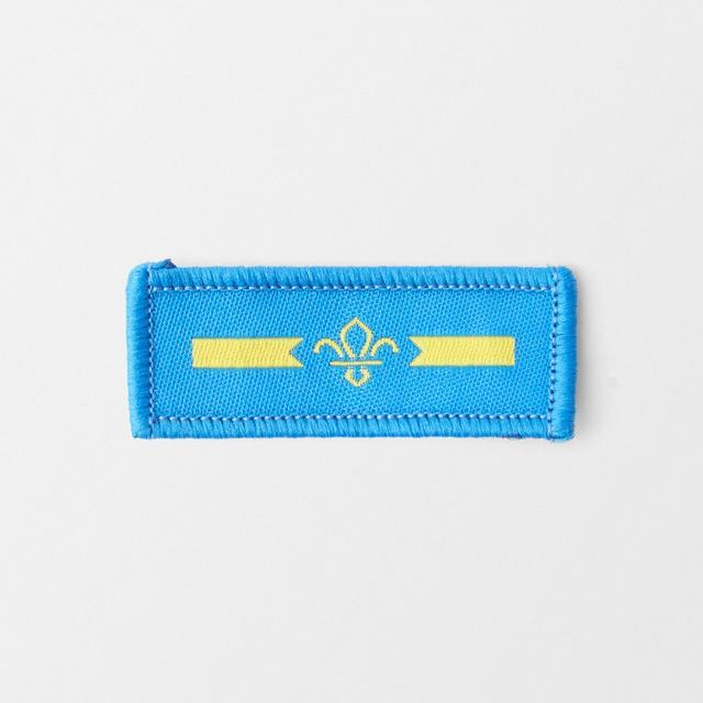 Scout Assistant Patrol Leader badge