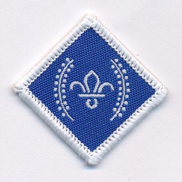Chief Scouts Diamond Award Badge Volunteer Leaders