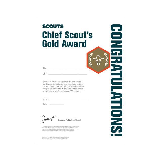 Chief Scout's Gold Award Certificate - Pack of 10