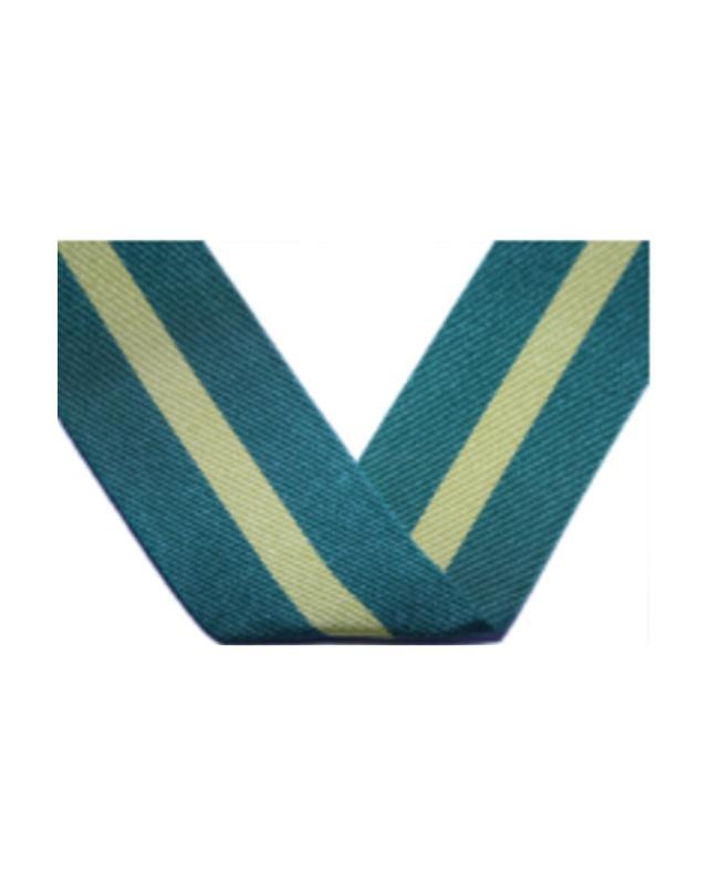 Scout Swimmer Stage 2 Activity Badge Volunteer Leaders