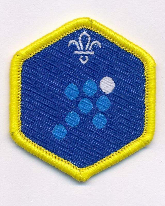Scouts Badges and Awards Book Volunteer Leaders