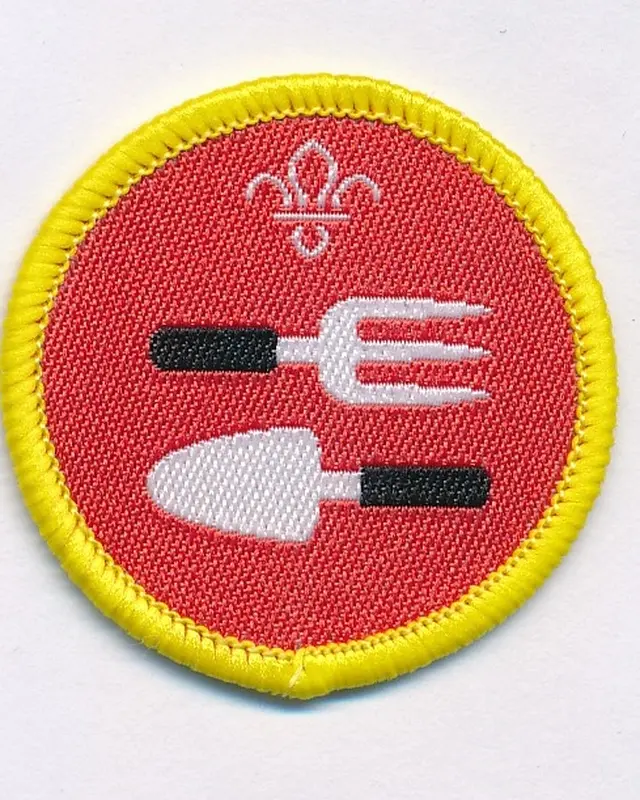 Staying Safe - the Scouts Executive Committee Safety Check List ...