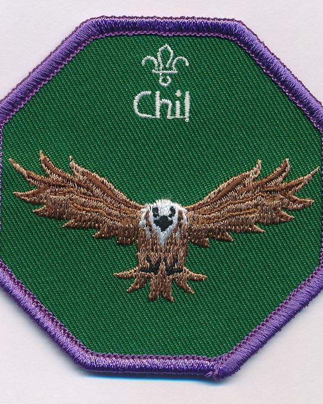 Cub Scouts Embroidered Youth Baseball Cap Scouts Sections