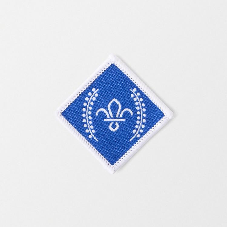 Chief Scouts Diamond Award Badge