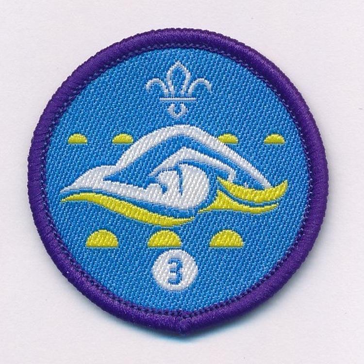 Activity Scout Swimmer Stage 3 Badge Volunteer Leaders