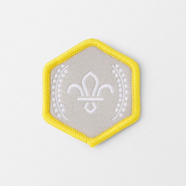 Cub Scouts Chief Scouts's Silver Award Badge