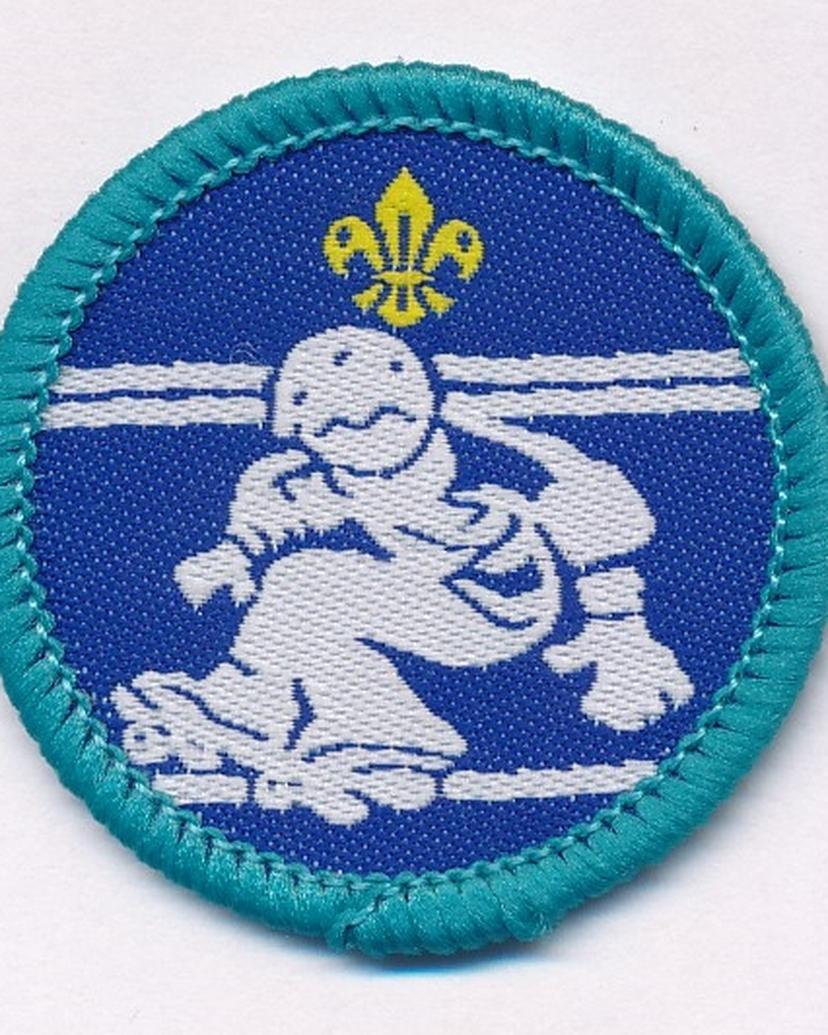 Cub Scouts Embroidered Youth Baseball Cap Scouts Sections