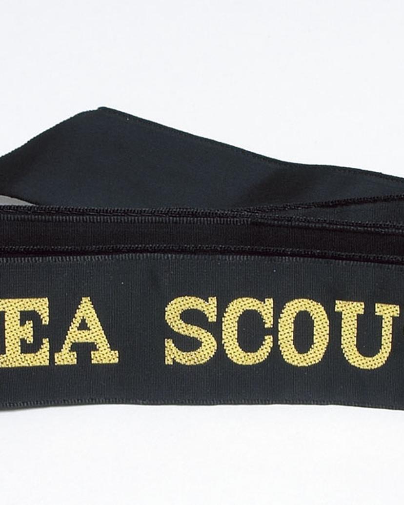 Sea/Air Scout Lanyard
