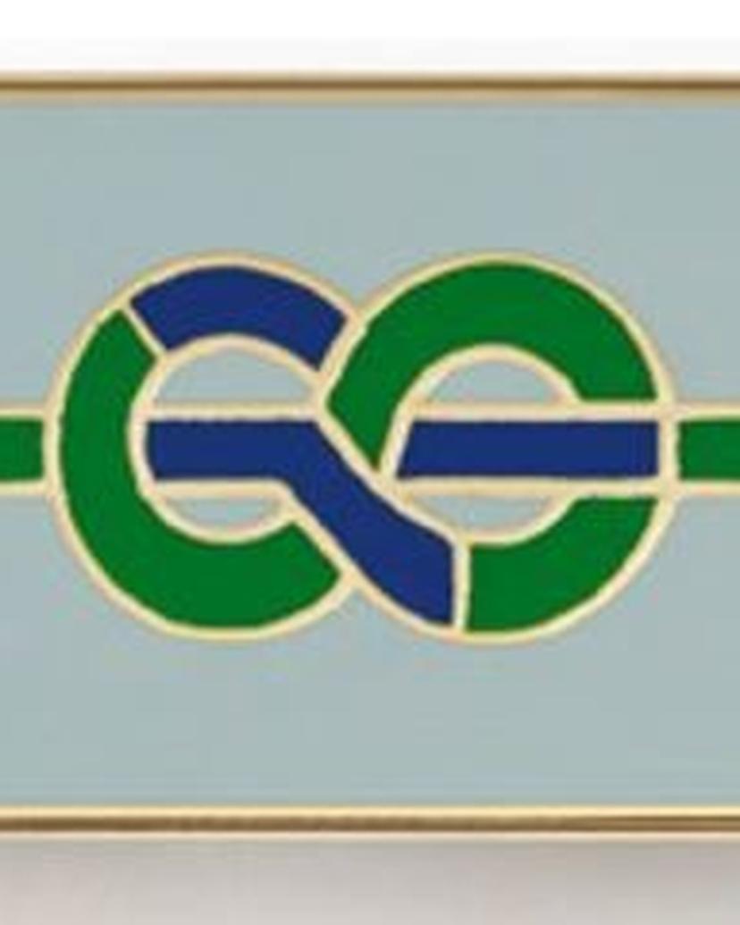 Gilwell Park Scouting Wood Badge 4 Beads Volunteer Leaders