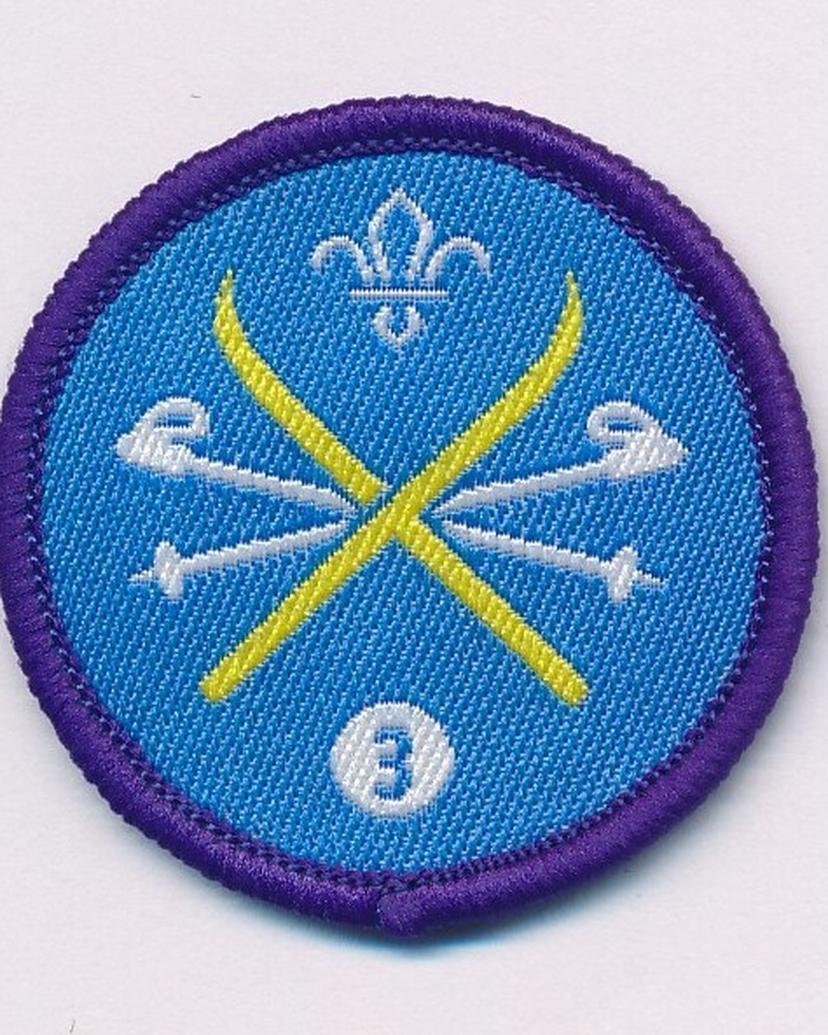 Scouts Swimmer Activity Badge - Stage 3