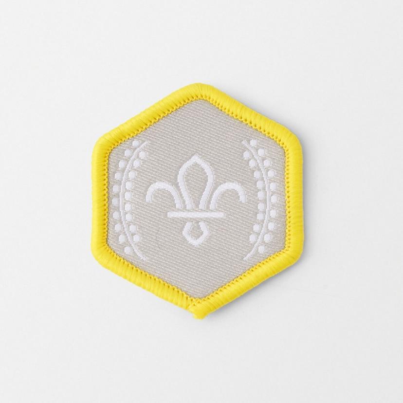 Cub Scouts Chief Scouts's Silver Award Badge