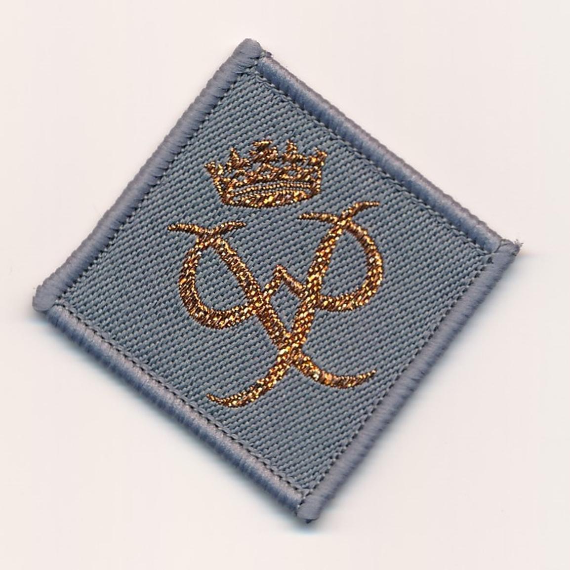 D. of E. Award Bronze Volunteer Leaders