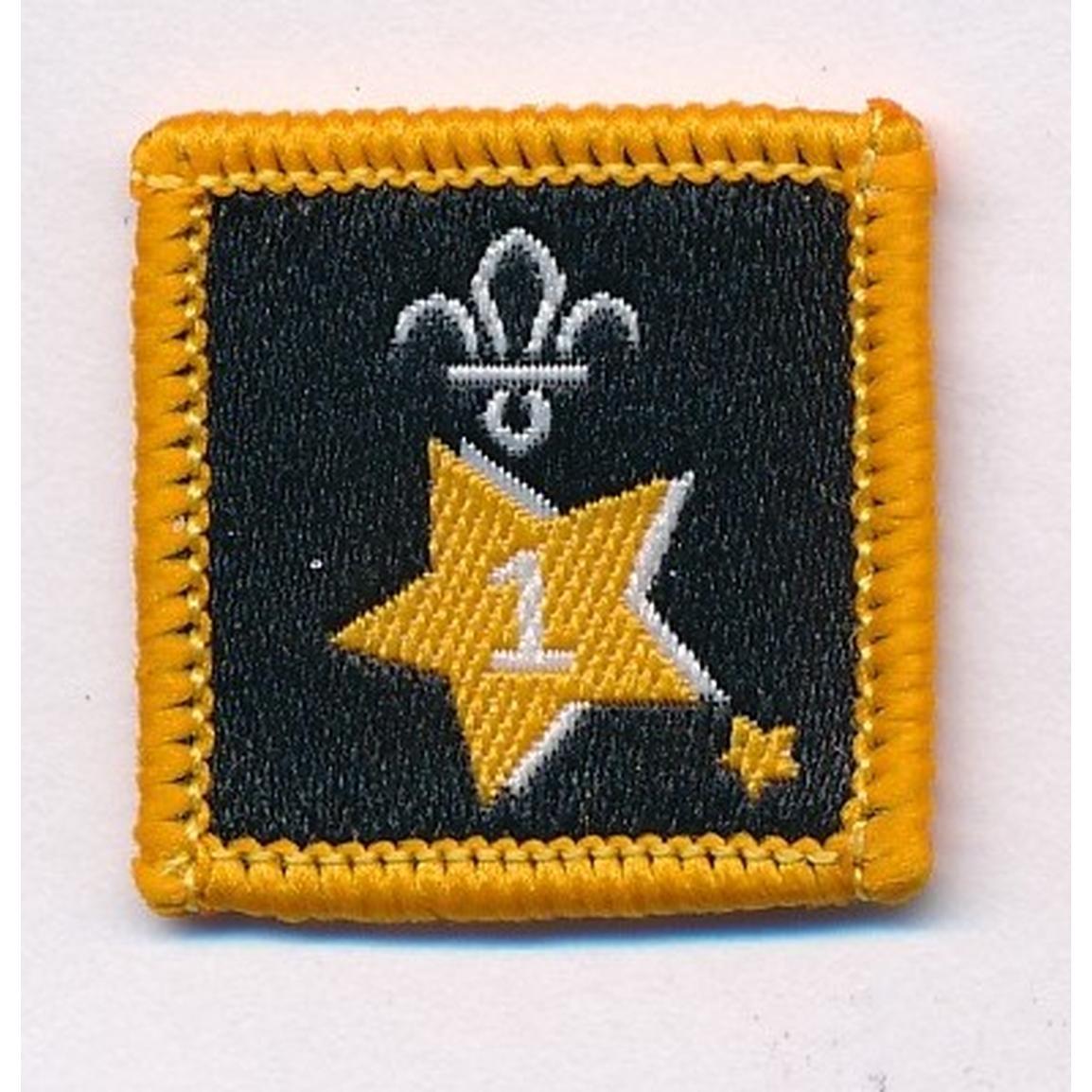 Joining in Award Badge 1 Volunteer Leaders