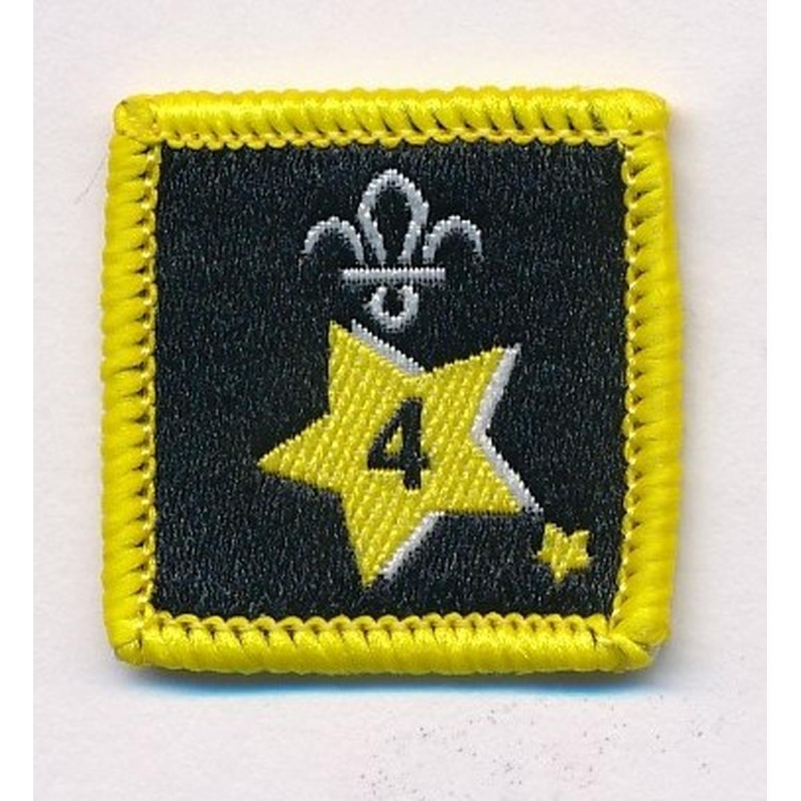 Joining in Award Badge 4 Volunteer Leaders