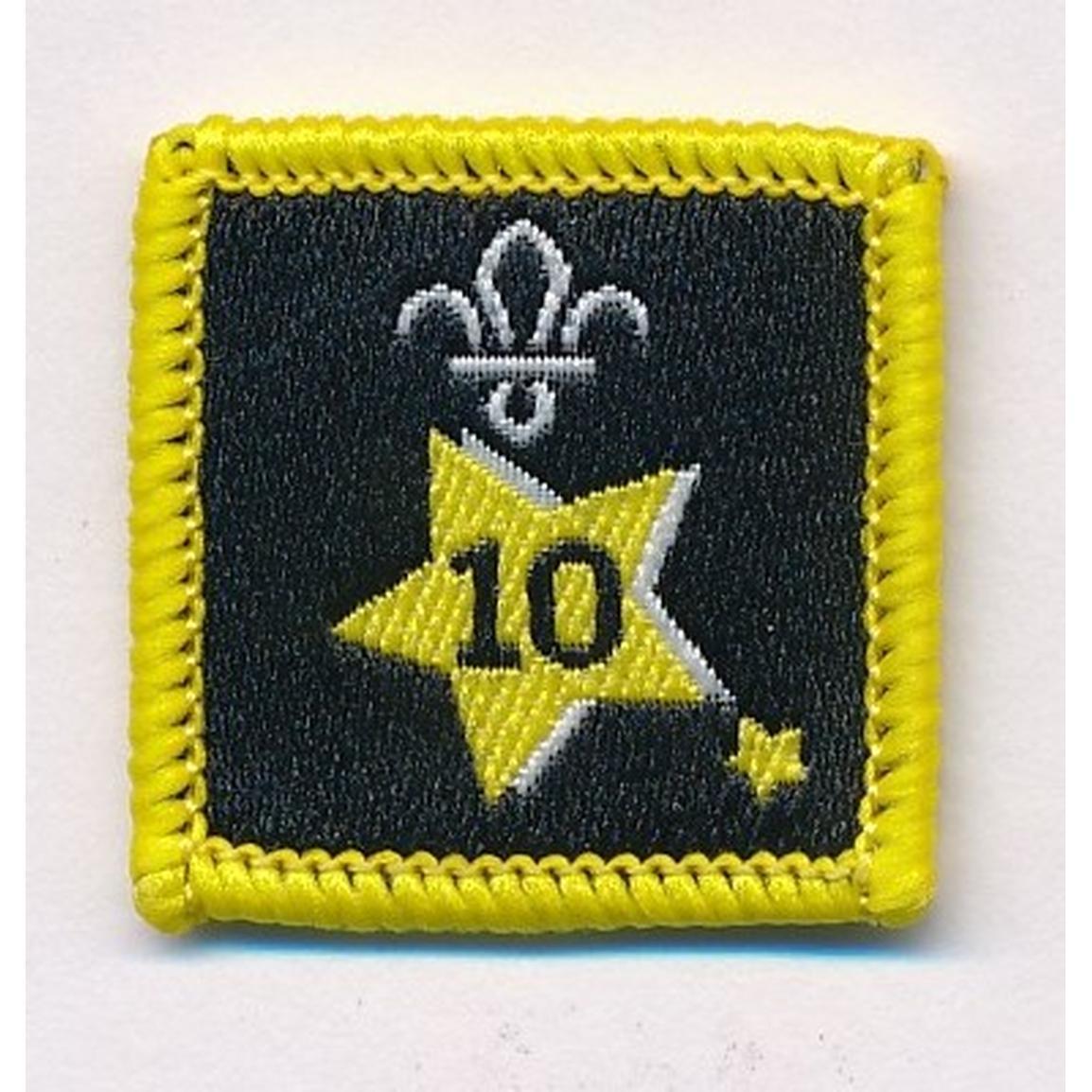 Joining in Award Badge 10 Volunteer Leaders