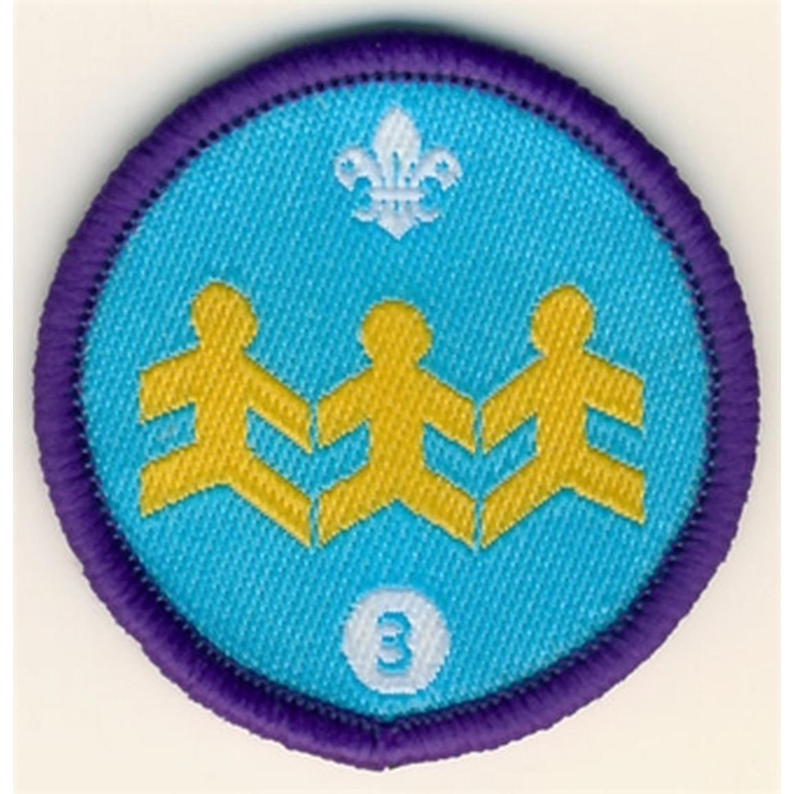 Community Impact Stage 3 Activity Badge Volunteer Leaders