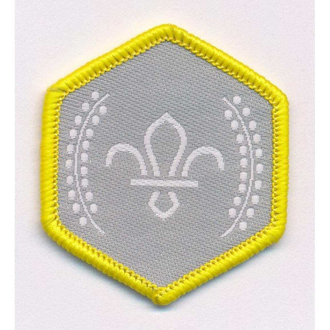 Cub Scout Chief Scout's Silver Award Badge Volunteer Leaders