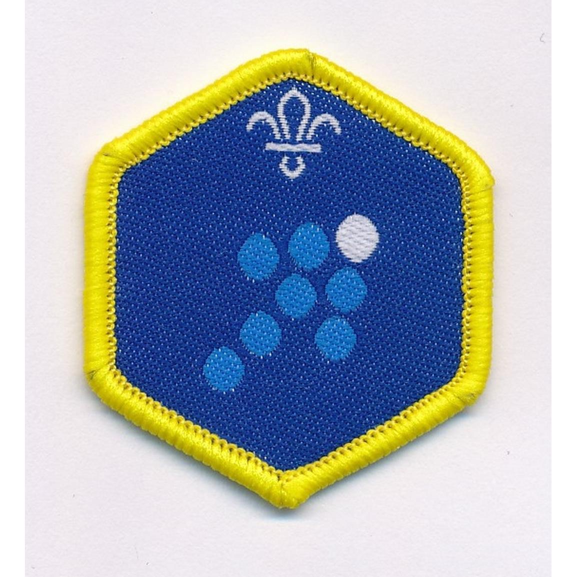 Cub Scout Team Leader Challenge Award Badge Volunteer Leaders